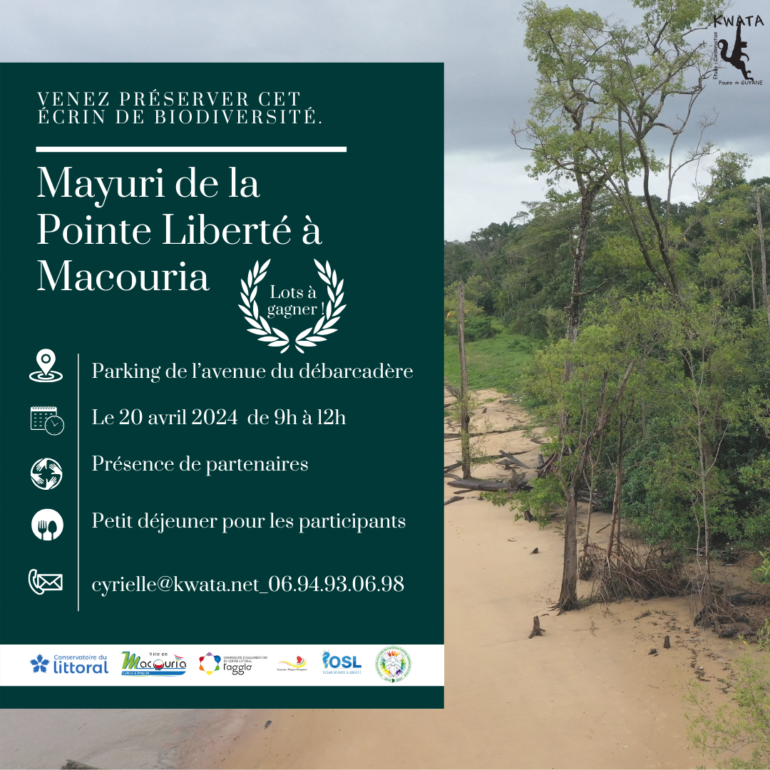 Macouria – Culture & Progres
