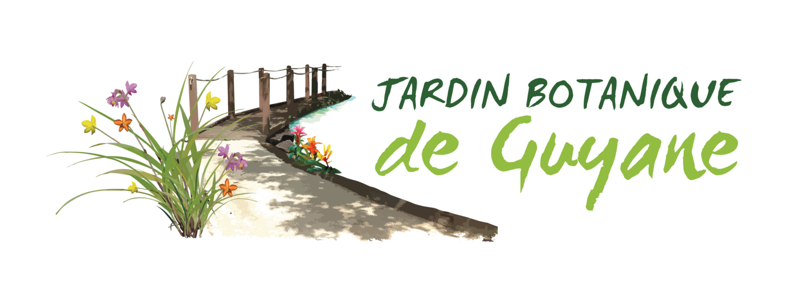 TOUR DE GUYANE 2025 – Macouria
